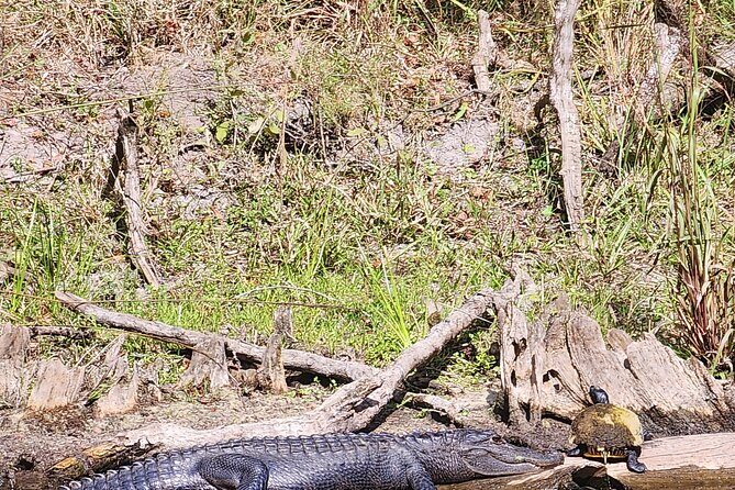 2 Hour Guided Clear Glass Bottom Kayak Tour Gilchrist Blue Spring - Equipment and Inclusions