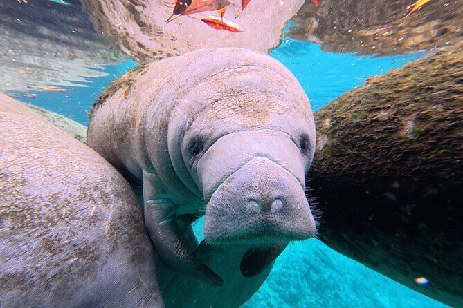 2 Hour Kayak Rental - The Experience in Detail: What to Expect