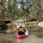 2-Hour Kayaking Experience in Barossa Valley - The Experience in Detail