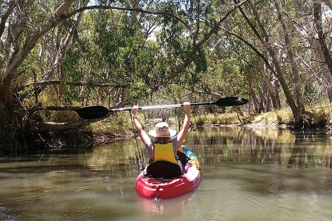 2-Hour Kayaking Experience in Barossa Valley - The Experience in Detail