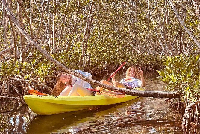 2 Hour Key West Kayak Rental  Discover Mangroves & Wildlife! - What Sets This Rental Apart