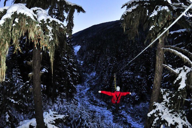 2 Hour Late Afternoon Winter Zipline Adventure - What’s included?