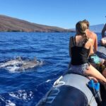 2 Hour Maui Dolphin Watch Sightsee Raft Tour (Semi-Private) - Final Thoughts: Is It Worth It?