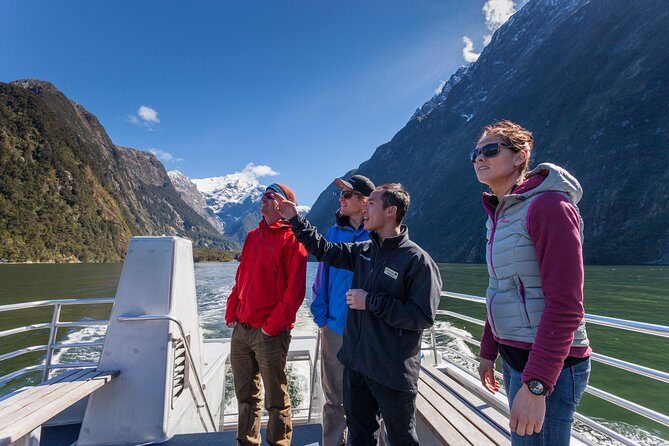 2-Hour Milford Sound Scenic Cruise - What to Expect: From the Shore to the Sea