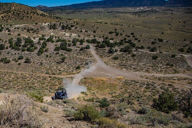 2-Hour Off-Road Razor Ridge Run Tour in the Desert - What We Love About This Tour
