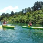 2-Hour Waikato River Guided Kayak Trip from Taupo - The Experience and Its Highlights