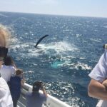 2 hour whale watching experience departing Hillarys Boat Harbour - The Itinerary in Detail