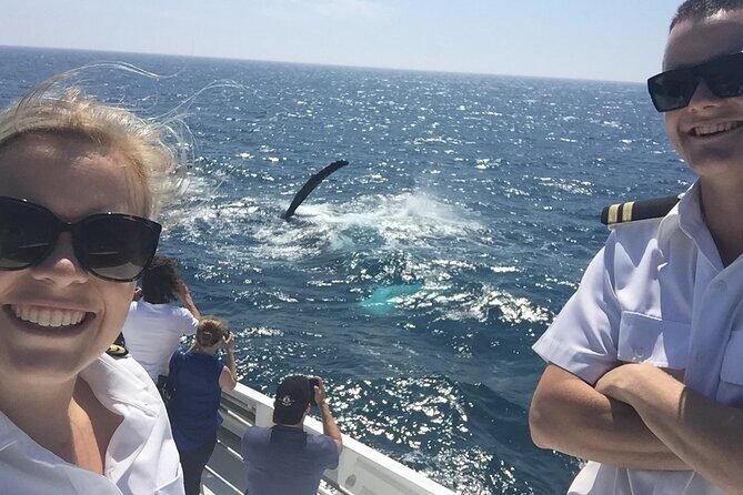 2 hour whale watching experience departing Hillarys Boat Harbour - The Itinerary in Detail