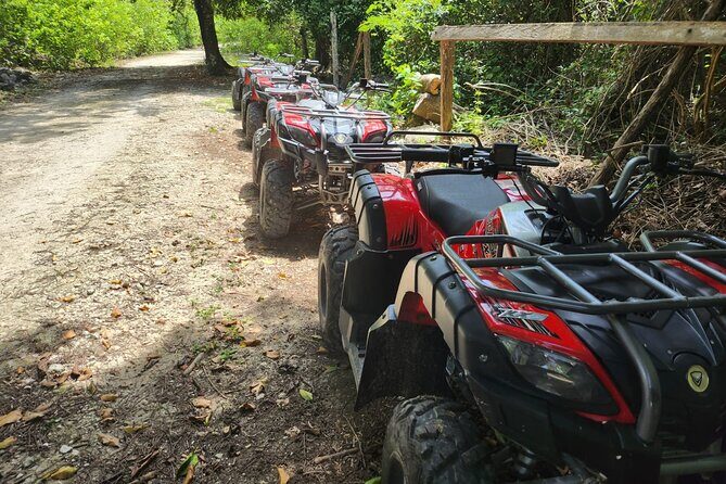 2 Hours ATV Jungle, Caverns and Mayan Ruins Tour - In-Depth Breakdown of the Itinerary