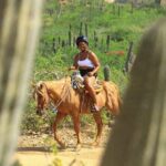 2 Hours Horseback Riding Adventure in Cabo - The Sum Up: Is This Tour Worth It?
