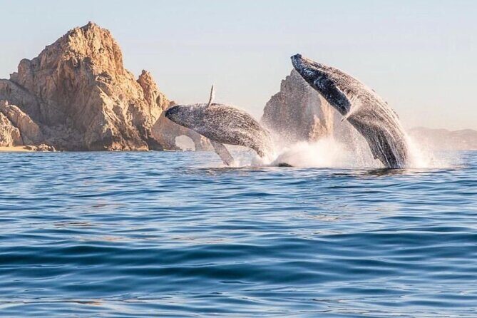 2 in 1 Tour | Arc Tour with Beach Drop - Practical Details