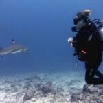 2 Tank (1 Day) Guided Diving for Certified Divers - Denarau Marina - Why This Tour Delivers Excellent Value