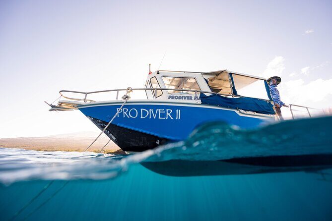 2-Tank Dive Featuring the Molokini Crater - Why Choose This Maui Dive Experience?