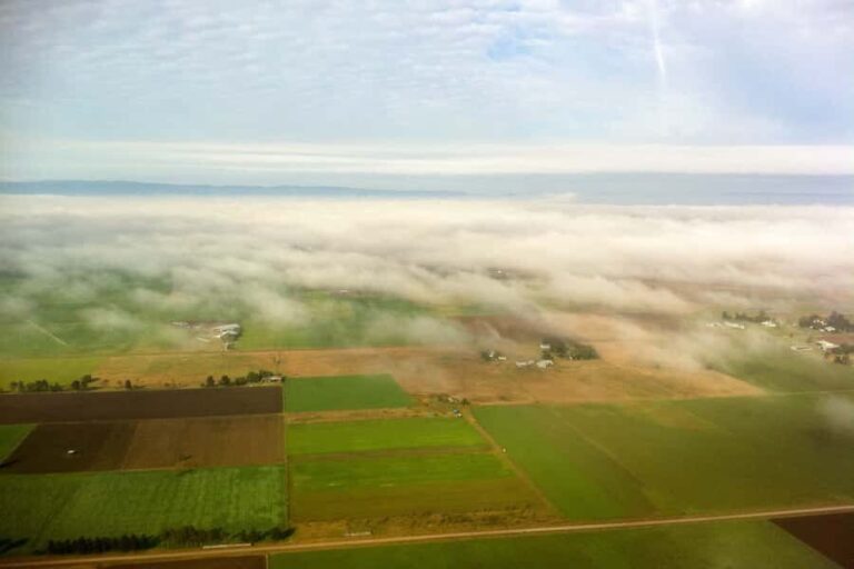 20 Minute Helicopter Scenic Flight Hunter Valley - Why This Experience Is Worth It