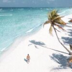 2x1 Tour: Isla Contoy, Isla Mujeres, Open Bar, Lunch and Transfers - Discovering the Best of Isla Contoy and Isla Mujeres