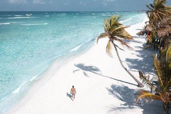 2x1 Tour: Isla Contoy, Isla Mujeres, Open Bar, Lunch and Transfers - Discovering the Best of Isla Contoy and Isla Mujeres