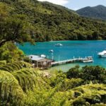 3.5 Hour Marlborough Sounds Delivery Cruise - Practical Details and Tips