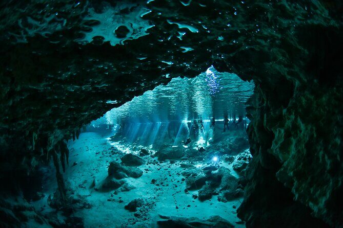 3 Cenote Dives - Casa & Dos Ojos - Authentic Insights from Reviewers