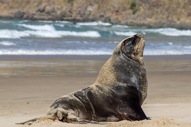 3 Day 2 Night New Zealands South Southern Highlights Tour - The Complete 3-Day Experience