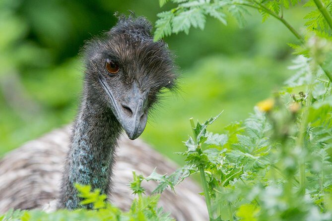 3-Day Adelaide to Melbourne Small-Group Grampian Great Ocean Road - Day 3: The Famous Coastline and Melbourne Arrival