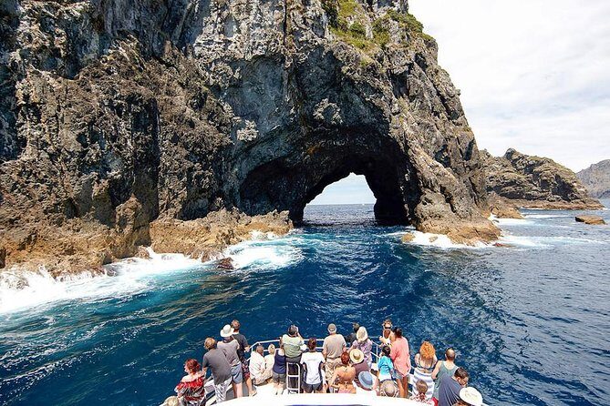 3 Day Bay Of Islands Tour from Auckland including Waitangi and Cape Reinga - Points to Keep in Mind