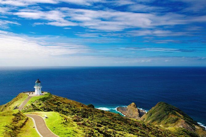 3-Day Bay of Islands Tour from Auckland - Authentic Experiences and Common Reviewer Insights