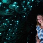 3-Day Hobbiton, Rotorua, Whakarewarewa, and Waitomo Tour - Detailed Breakdown of the Itinerary