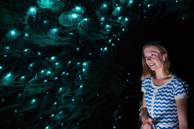 3-Day Hobbiton, Rotorua, Whakarewarewa, and Waitomo Tour - Detailed Breakdown of the Itinerary