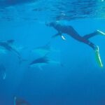 3 Day Kaikoura Sealife and Coach Tour from Christchurch - FAQ