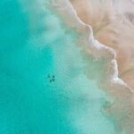 3-Day Kangaroo Island Adventure Tour - Day Two: Wildlife and Wilderness