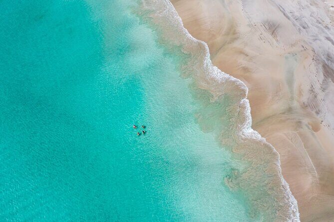 3-Day Kangaroo Island Adventure Tour - Day Two: Wildlife and Wilderness