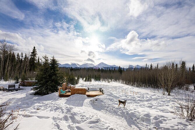 3-day Yukon Northern Lights Adventure - What Makes This Tour Stand Out