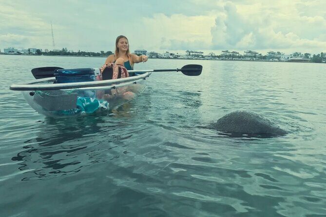 3-Hour Clear Kayak Beach Hopping Adventure in Sarasota - Final Thoughts: Is It Worth It?