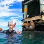 3 hour Dolphin and Seal Swim (NOV-APR) - Frequently Asked Questions