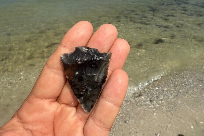 3 hour E.G. Simmons Park Mangrove Tunnel Tour - What It’s Like on the Water