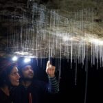 3-Hour Private Photography Tour in Waitomo Caves - The Value of This Tour
