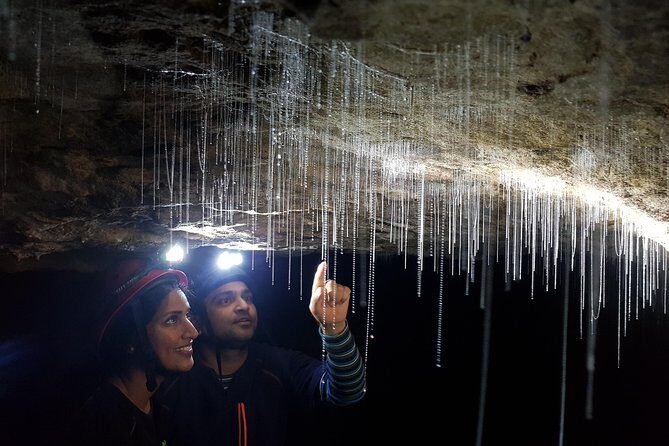 3-Hour Private Photography Tour in Waitomo Caves - The Value of This Tour