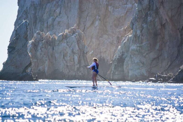 3-Hour Stand up Paddle and Snorkel at Los Cabos - What to Expect During the Tour