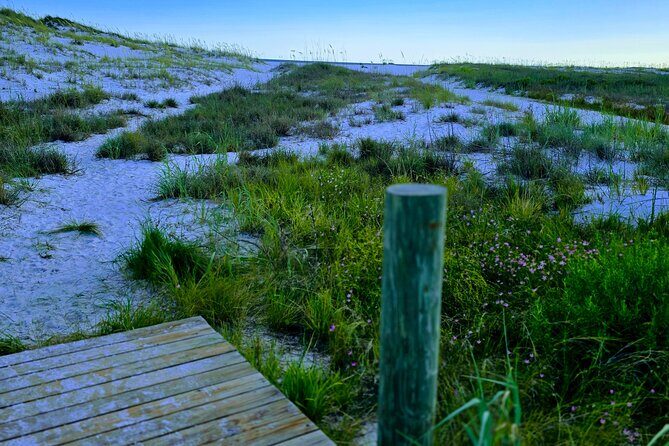 3 Hour Sunset Cruise to Shell Island - Why This Tour Is a Great Choice