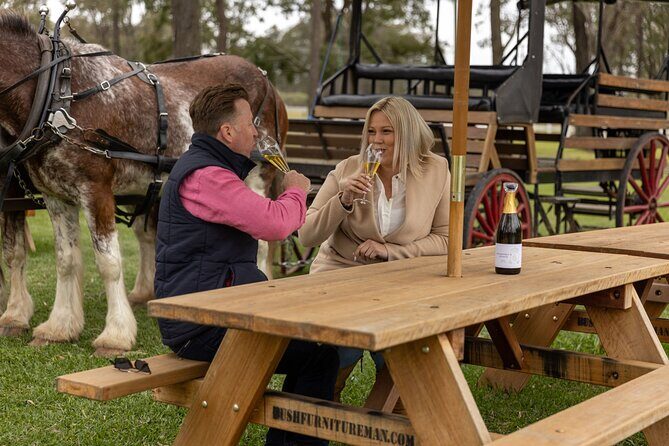 3- Hour Wine and Harvest the Hunter Horse Tour in Pokolbin - The Scenic Ride and Atmosphere