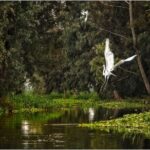 3 Hours of Kayaking at the Ancient Canals of Xochimilco - Final Thoughts: Who Will Love This Experience?