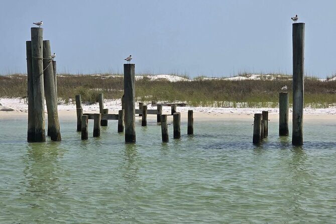 3 Hours Shell Island Experience - Meeting Point and Logistics