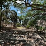 3 in 1 Snorkeling, Parasailing, with Turtle - Why This Tour Is a Great Choice