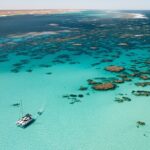3 Night Ningaloo Reef Snorkel and Dive Getaway from Coral Bay - What We Loved About the Experience