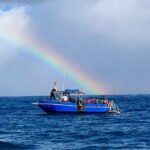 3-Tank Dive Featuring the Molokini Crater - Final Thoughts