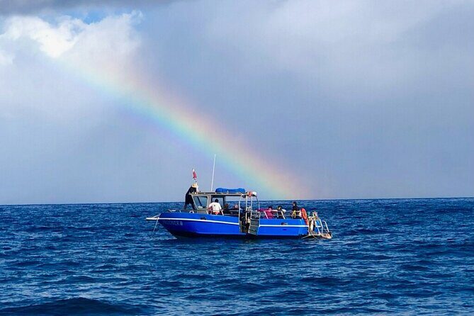 3-Tank Dive Featuring the Molokini Crater - Final Thoughts