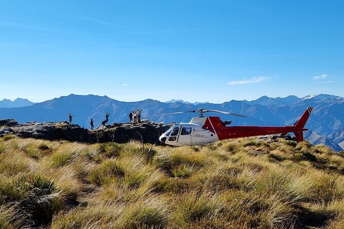 30-Minute Alpine Scenic Flight from Queenstown - Why You Should Consider This Tour