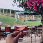 4.5-Hour Scenic Wine Tour with Private Guide & Up to 12 Tastings - Practical Details and Tips