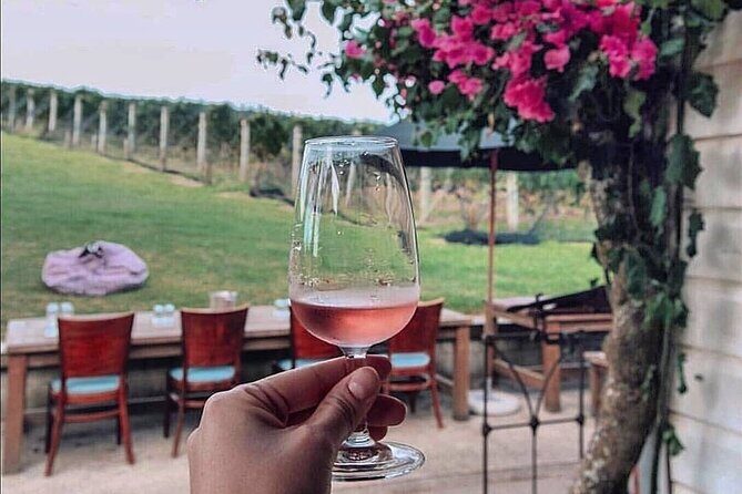 4.5-Hour Scenic Wine Tour with Private Guide & Up to 12 Tastings - Practical Details and Tips