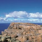 4 Day Albany Margaret River, Valley of the Giants Tour from Perth - What Makes This Tour Stand Out?